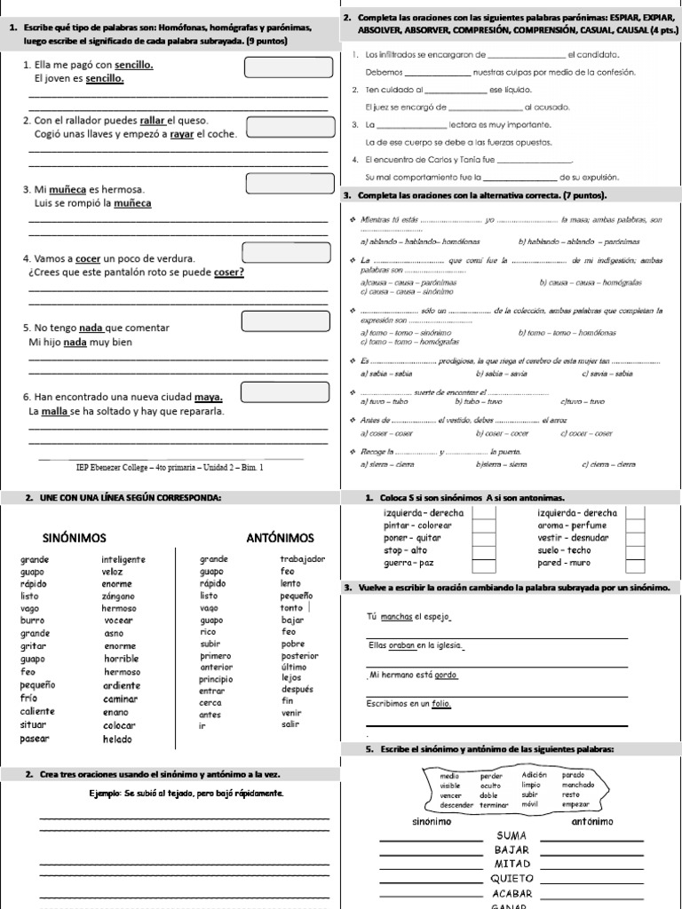 EXAMEN DIARIO 2024 4TO PRIMARIA Raz Verbal Homofonas | PDF