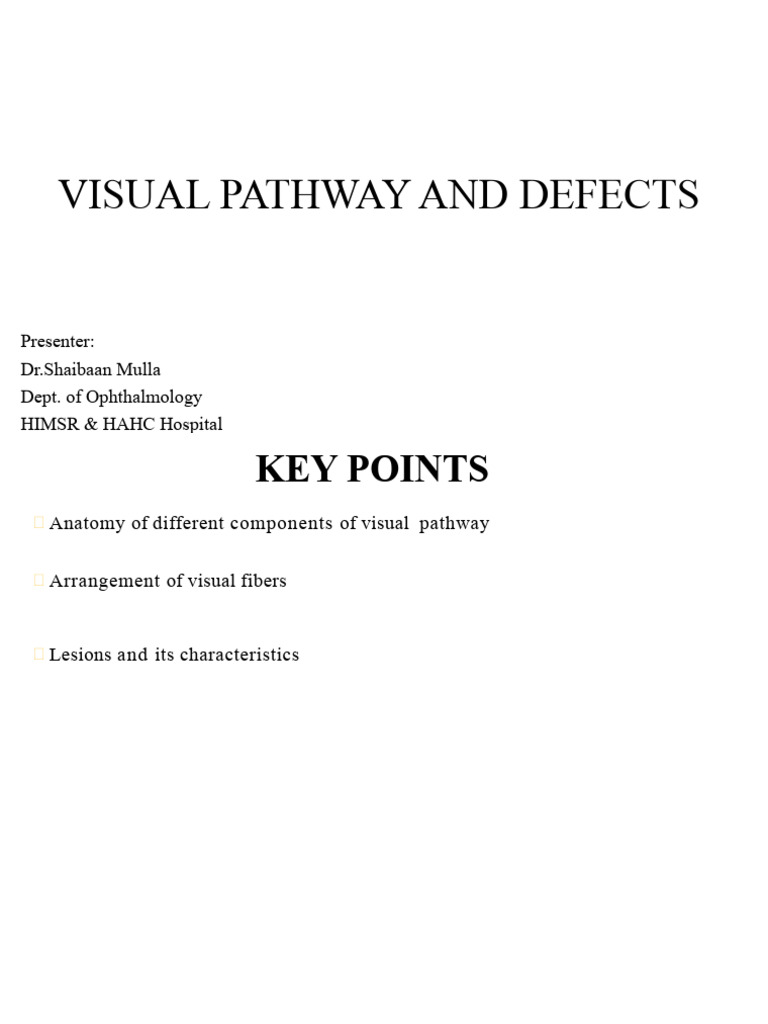 Visual Pathway and Defects | Download Free PDF | Visual System | Retina