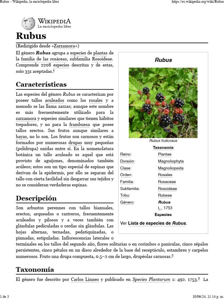 Rubus - Wikipedia, La Enciclopedia Libre | PDF | Plantas