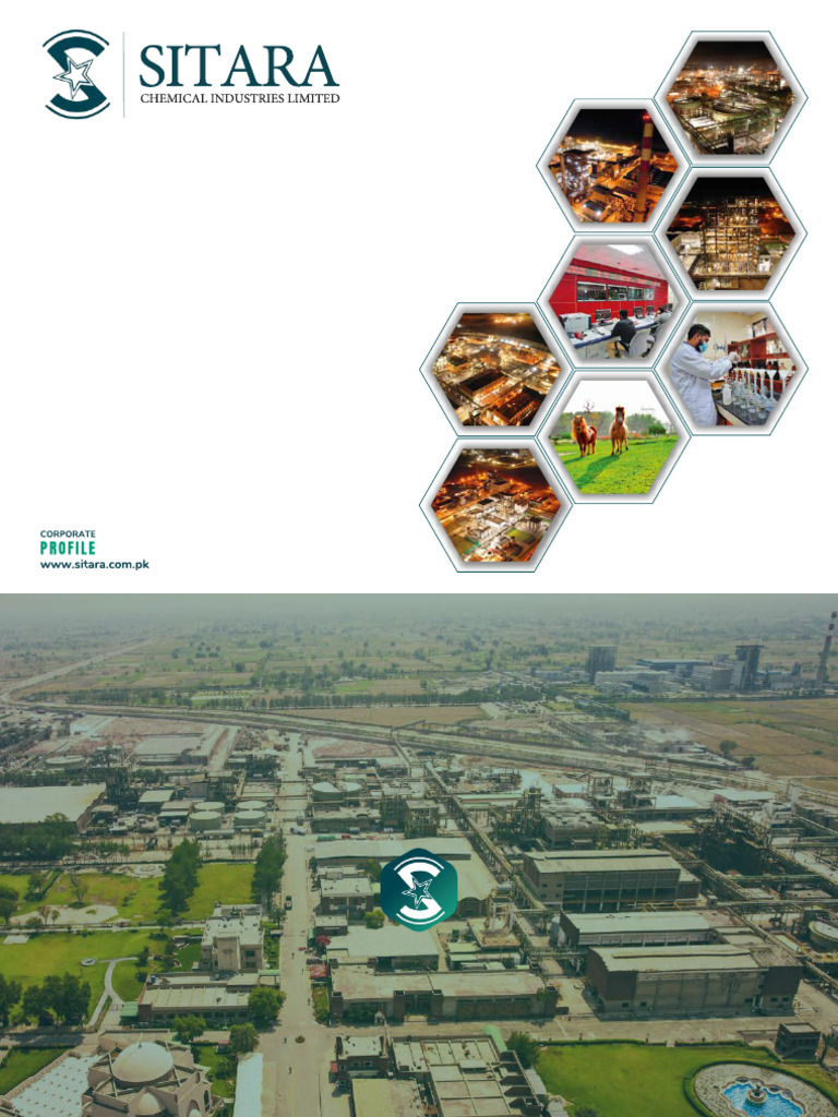 Sitara Chemical Industries ltd Corporate Profile | PDF | Natural ...