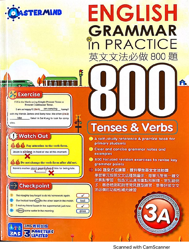 Mastermind 3A 800 Tenses and Verbs | PDF