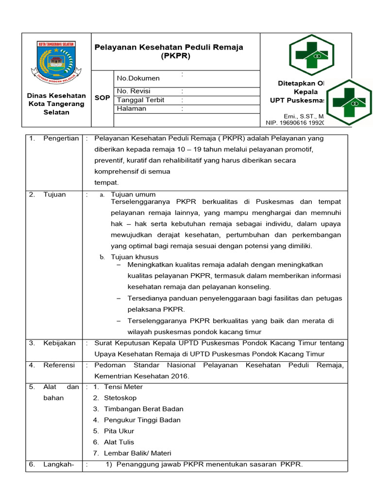 Pelayanan Kesehatan Remaja PKPR Tangerang | PDF