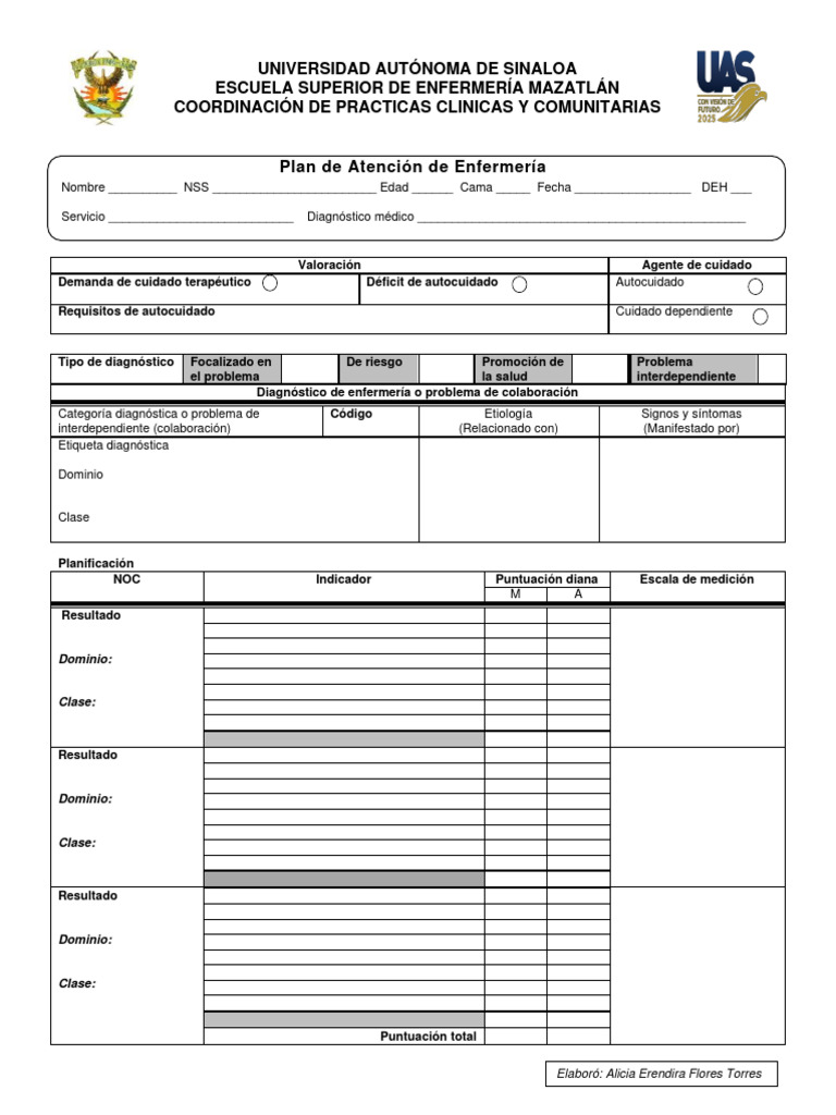 Formato Place | PDF | Enfermería | Cuidado de la salud