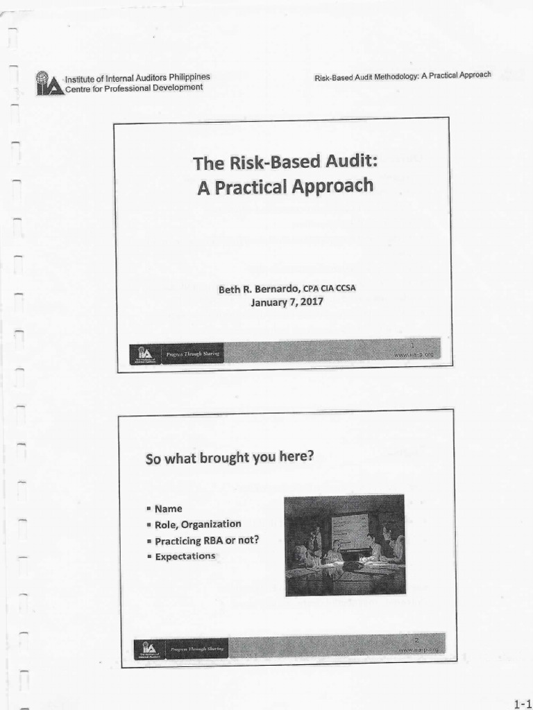 (Part 1) Risk-Based Audit Methodlogy - Practical Approach - 0001 | PDF