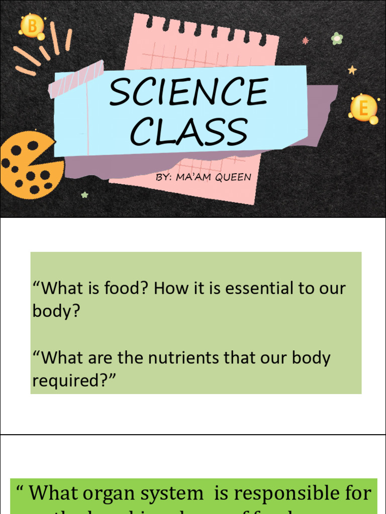 Parts of The Digestive System | Download Free PDF | Human Digestive ...