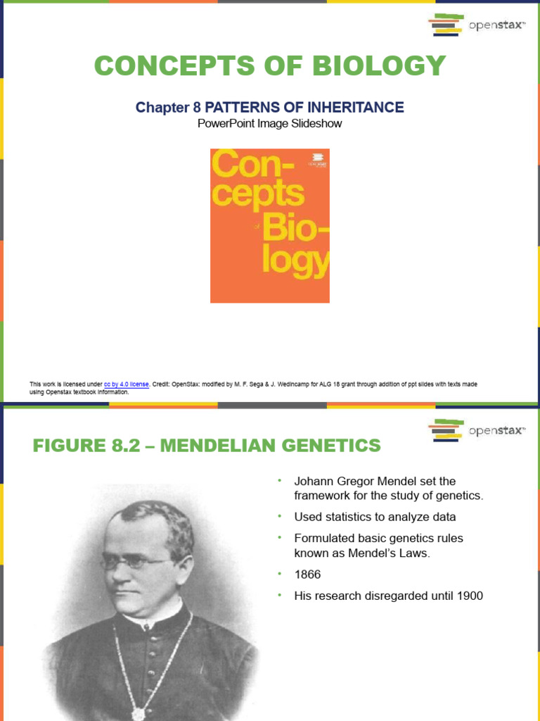 PATTERN OF INHERITANCE | Download Free PDF | Dominance (Genetics) | Genotype