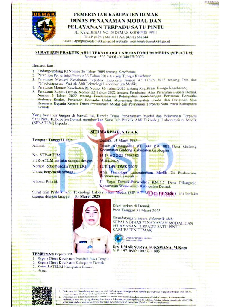 Sip Atlm 2023 - 2028 | PDF