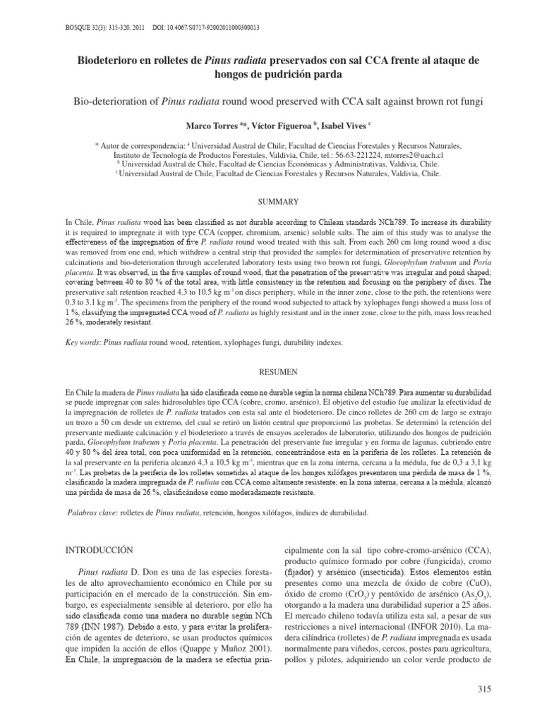 Efecto del CCA en rolletes de P. radiata | PDF | Ciencias sociales
