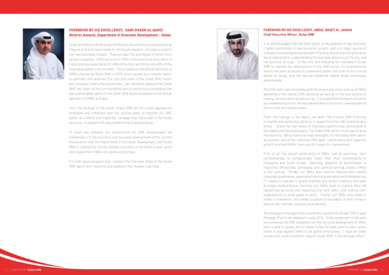 SME Report English Page 03 | PDF