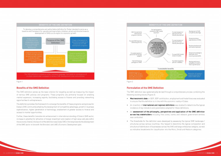 SME Report English Page 06 | PDF