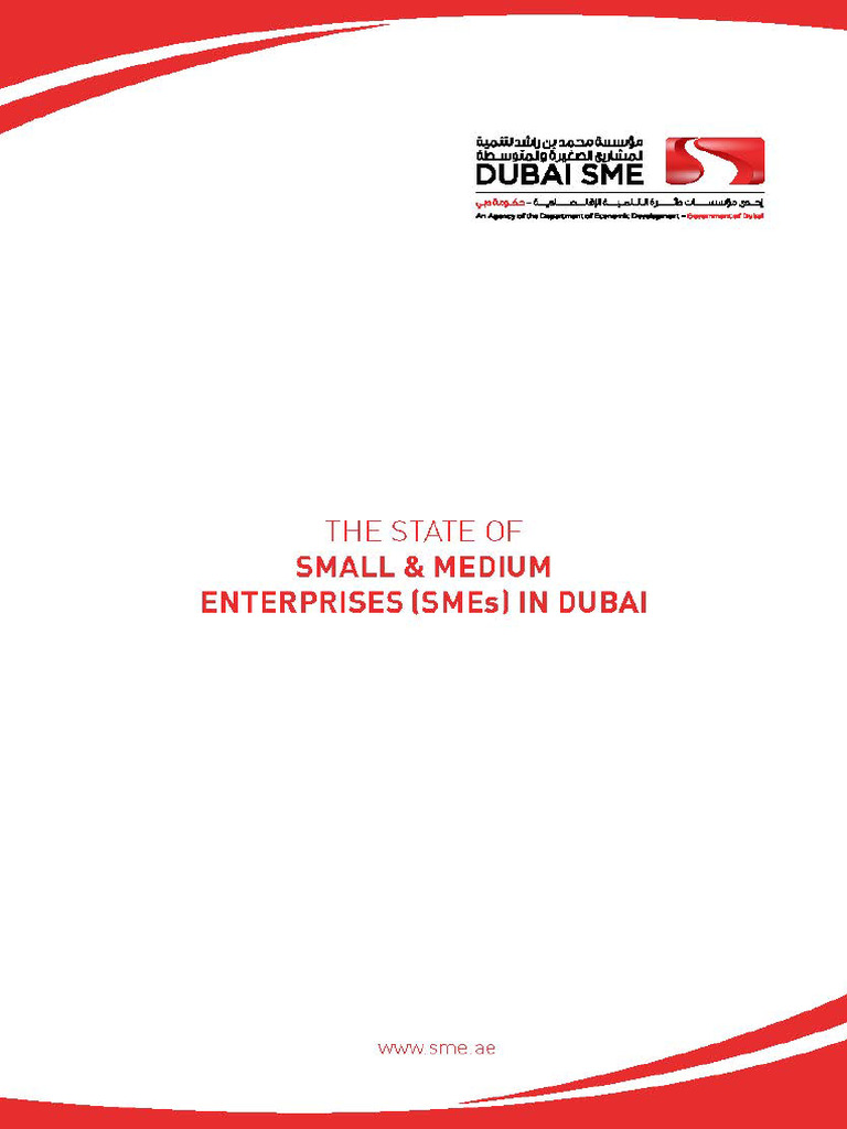 SME Report English Page 28 | PDF