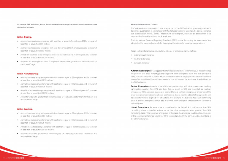 SME Report English Page 08 | PDF