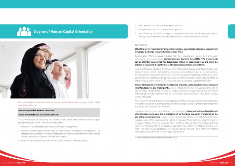 SME Report English Page 20 | PDF