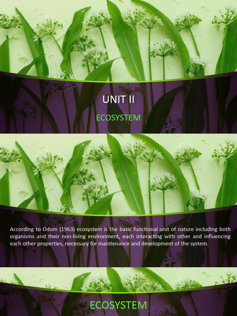 Unit 2 Ecosystem | PDF | Ecosystem | Oxygen