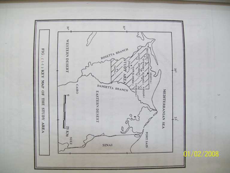 100 - 0989nile Delta Geo | PDF