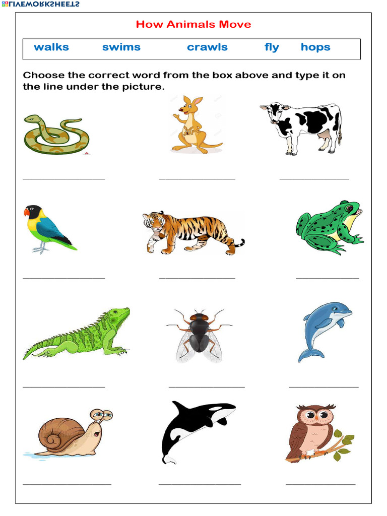 Animal Movement Activities for Kids | PDF