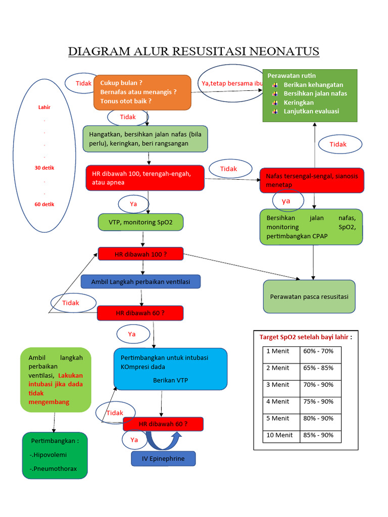 Diagram Alur Resusitasi Neonatus | PDF