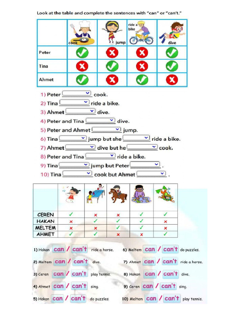 Make Sentences Using Can and Can | PDF | Language Arts & Discipline