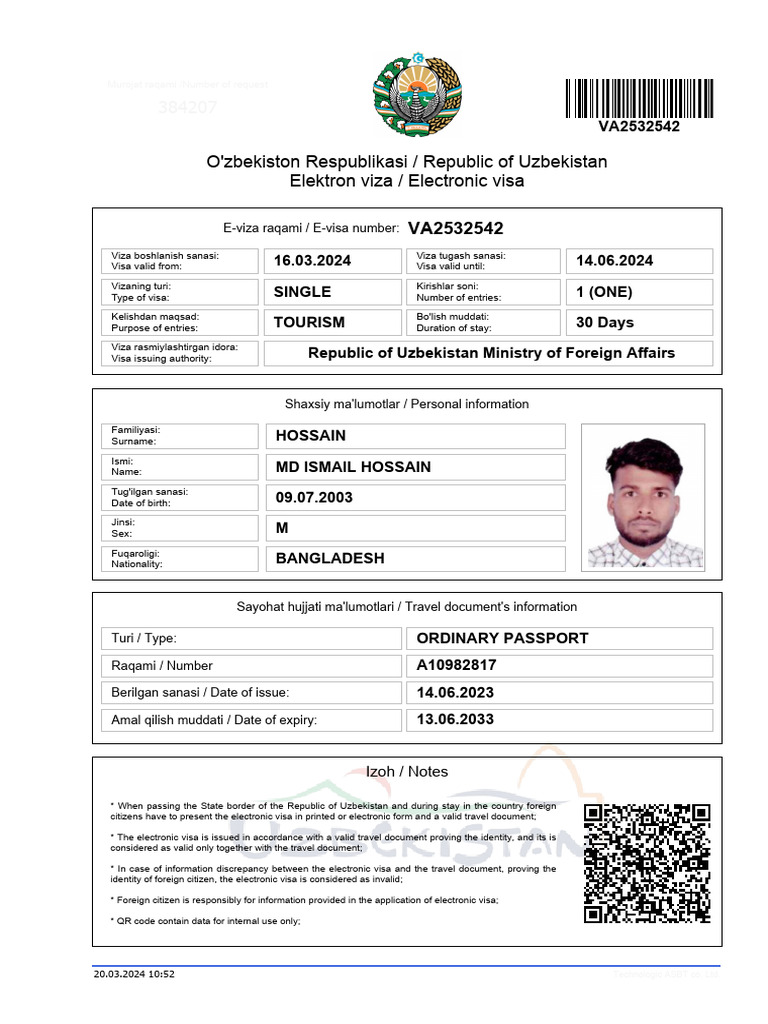 E Visa | PDF | Travel Visa | National Security