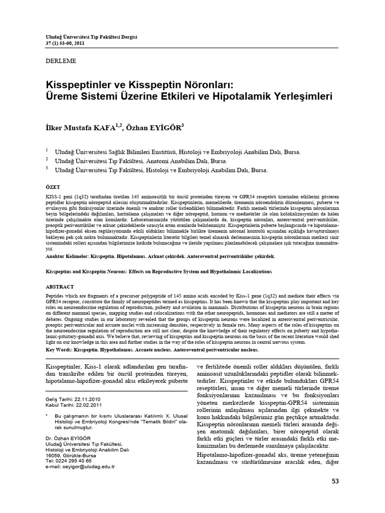 Kisspeptinler Ve Kisspeptin N Ronlar Reme Sistemi Zerine Etkileri Ve Hipotalamik Yerle Imleri ...