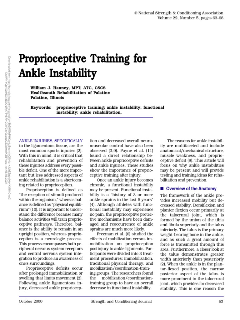 Proprioceptive Training For Ankle Instability.18 | Download Free PDF | Ankle | Balance (Ability)