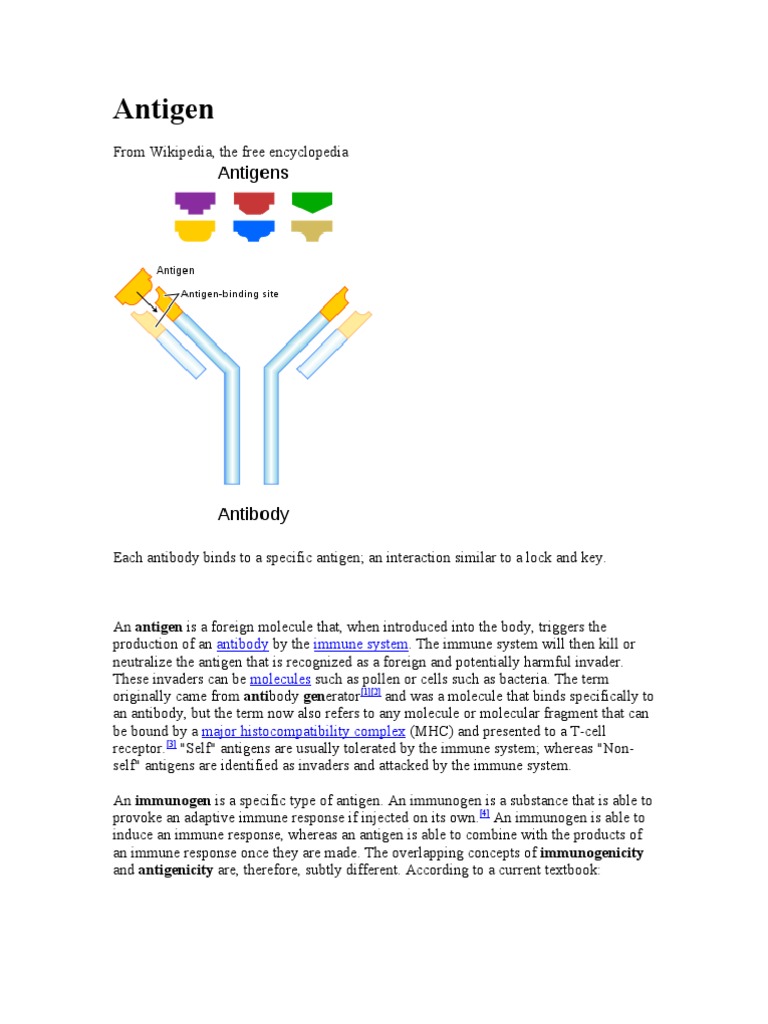 Antigen From Wikipedia and Others | PDF | Antigen | Adaptive Immune System