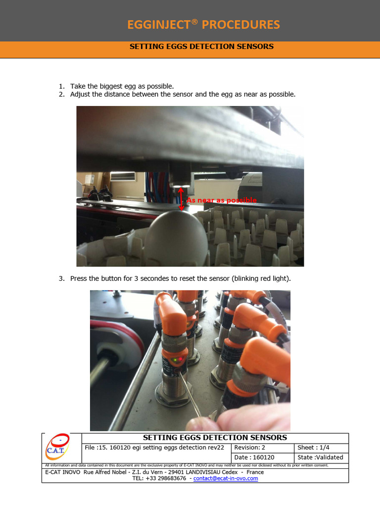 EGI Setting Eggs Detection Rev2 | PDF | Computers