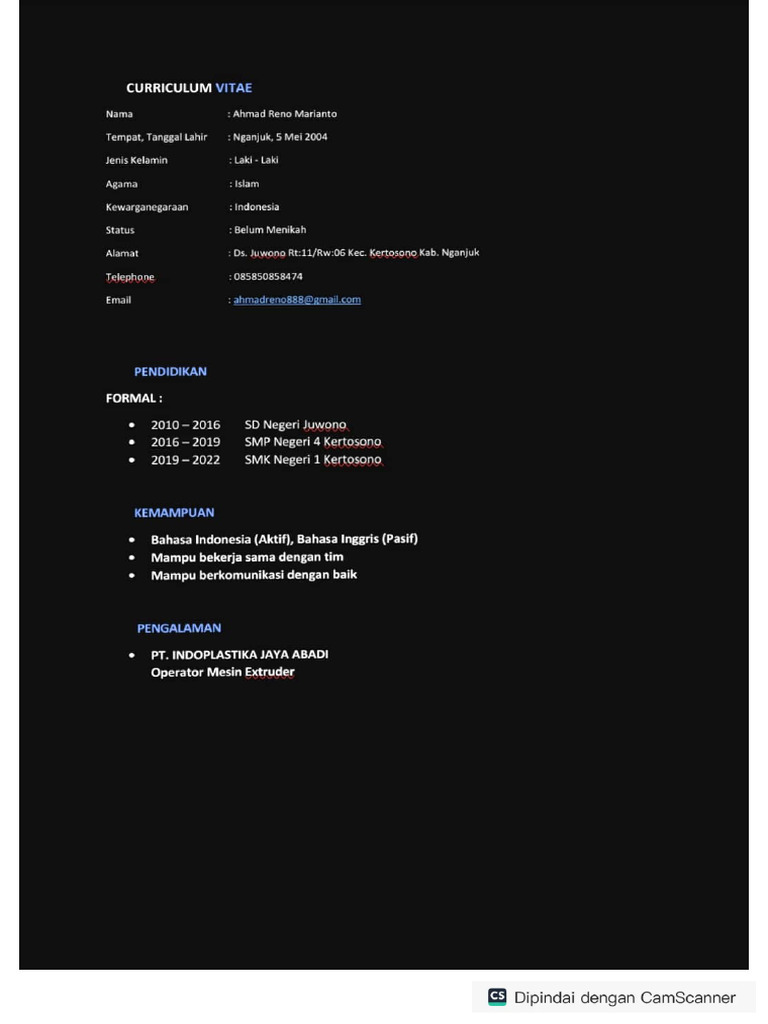 CV PDF | PDF