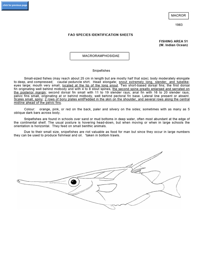 Fao Species Identification Sheets Fishing Area 51 (W. Indian Ocean ...