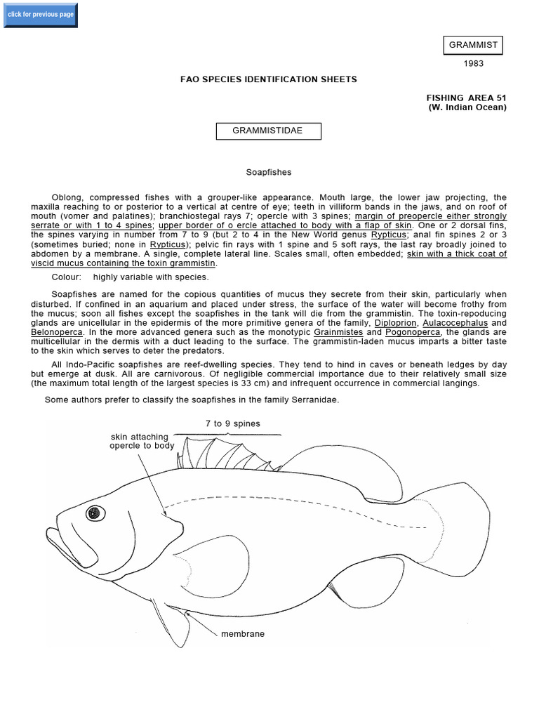 Fao Species Identification Sheets Fishing Area 51 (W. Indian Ocean ...