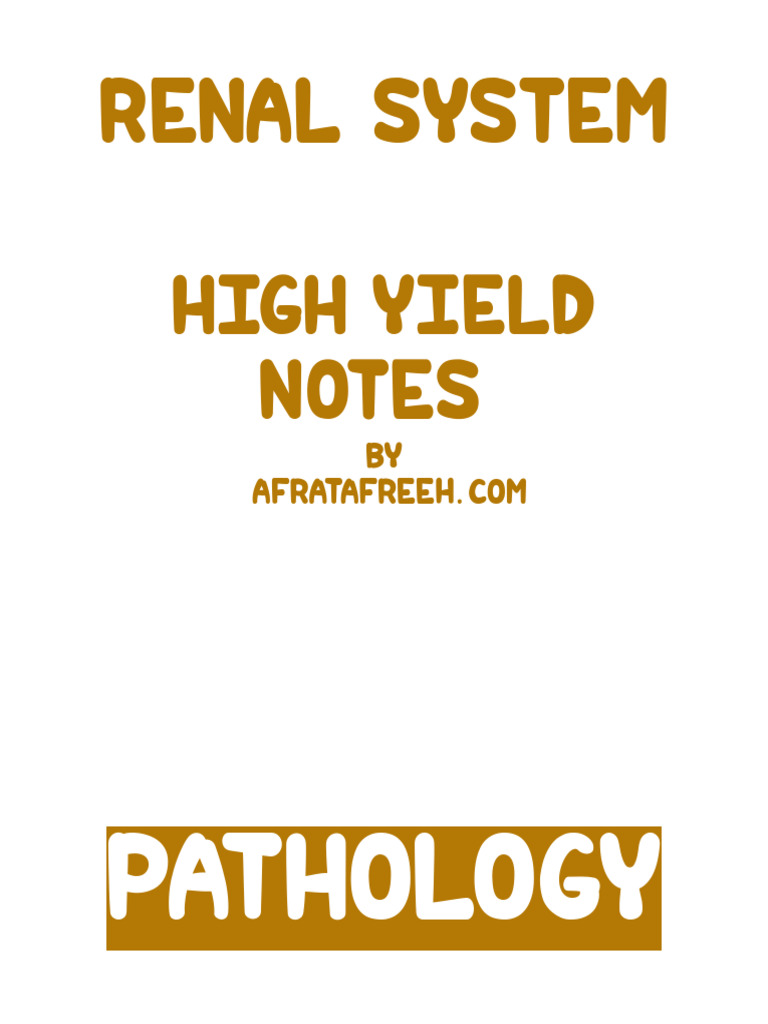 High Yield Renal System Notes | PDF