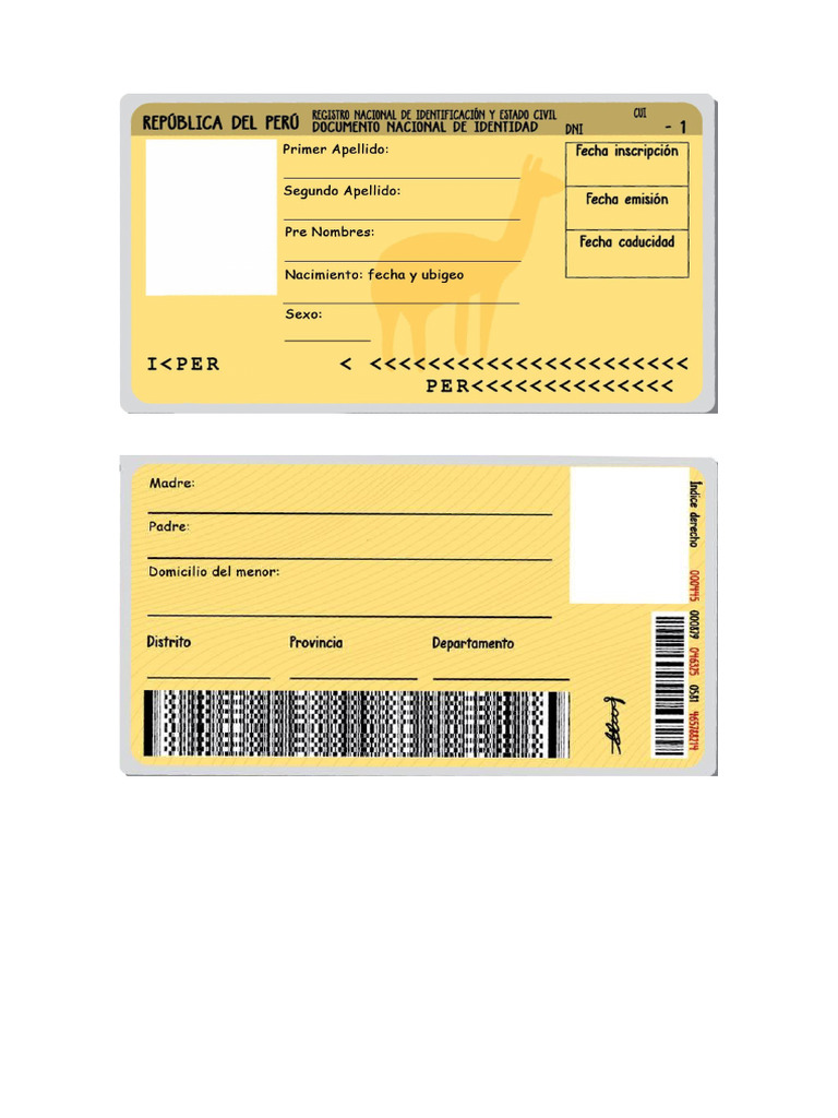 Modelo Del Dni | PDF