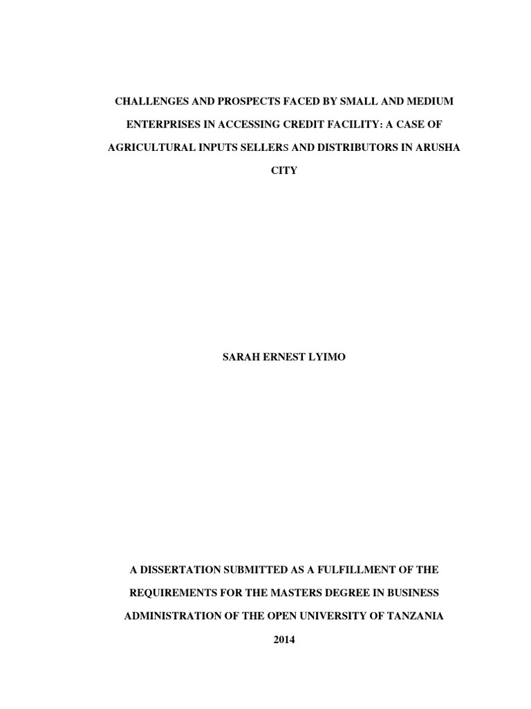 Dissertation Sarah - Lyimo 18 10 2014 | PDF | Small And Medium Sized ...