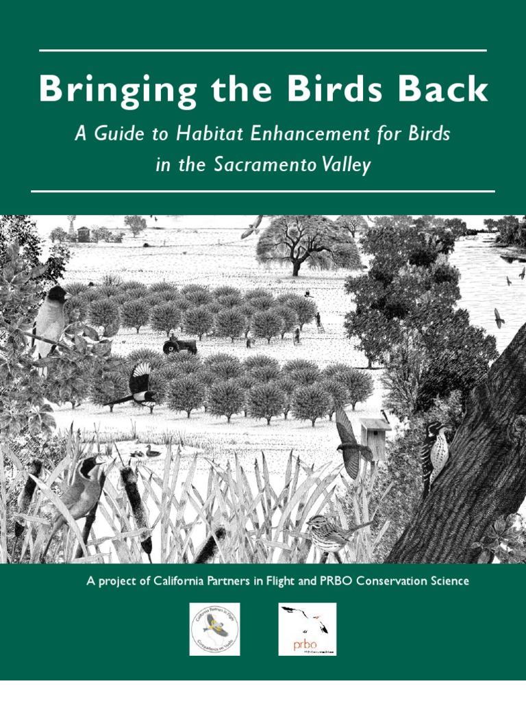 California Bringing The Birds Back A Guide To Habitat Enhancement For ...