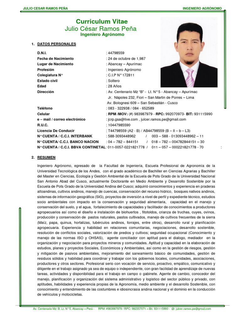 Curriculum Vitae ND Julio Cesar Ramos Pena 03 17 | PDF | Perú