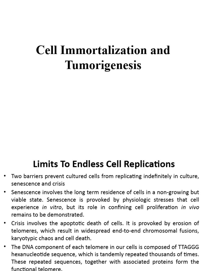 6 Cell Immortalization and Tumorigenesis | Download Free PDF | Primer ...