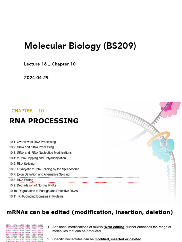 BS209 Chp10-3 RNA Processing MP2024 | PDF | Messenger Rna | Rna