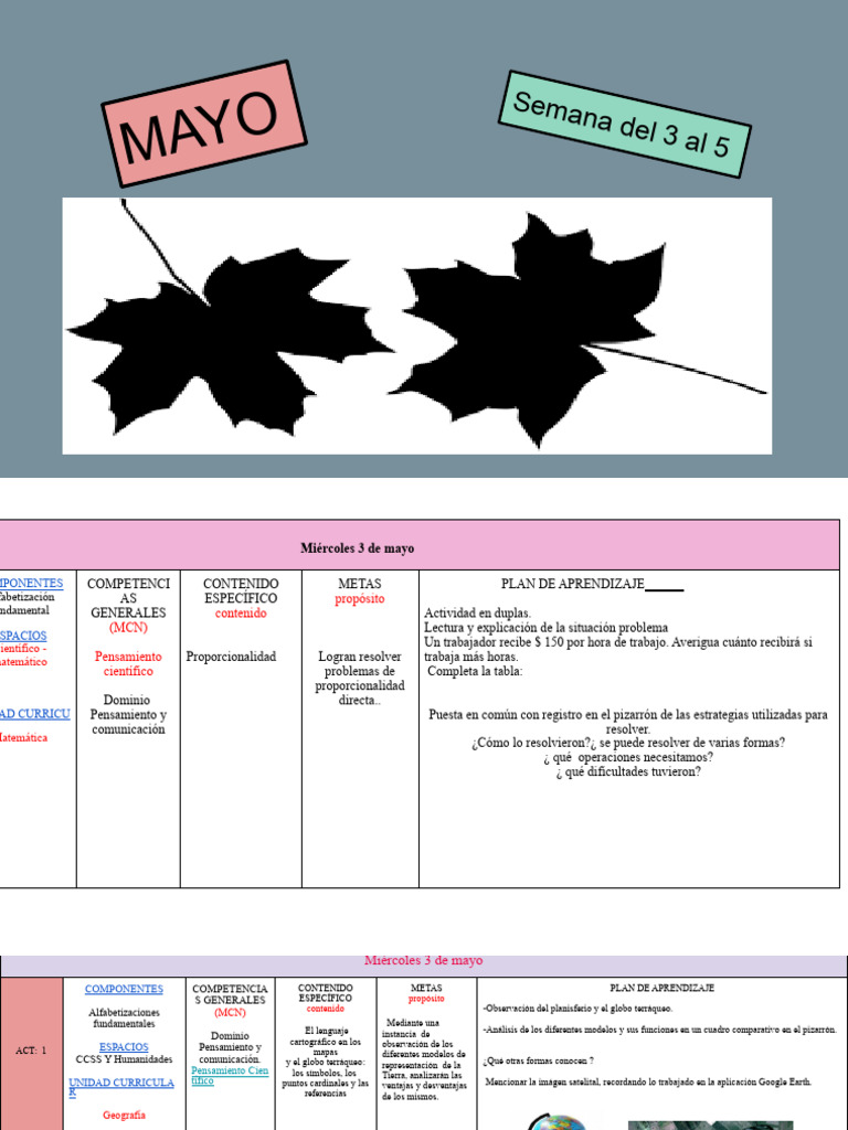 Planificación Mayo | PDF | Pensamiento | Evaluación