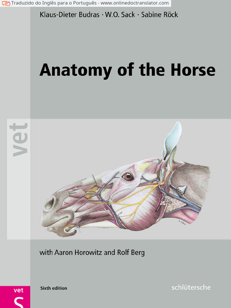 1 Anatomy of The Horse 6th Edition (001 055) .En - PT | Download grátis PDF | Pele animal | Epiderme