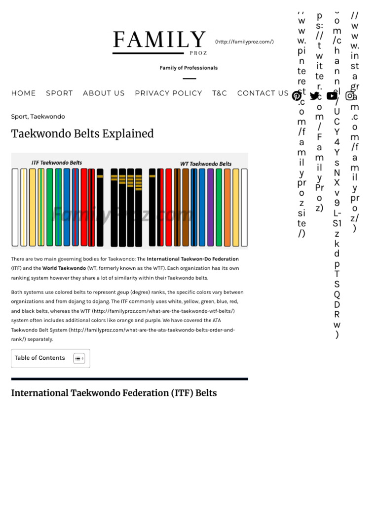 Taekwondo Belts Explained | PDF | Taekwondo | Japanese Martial Arts