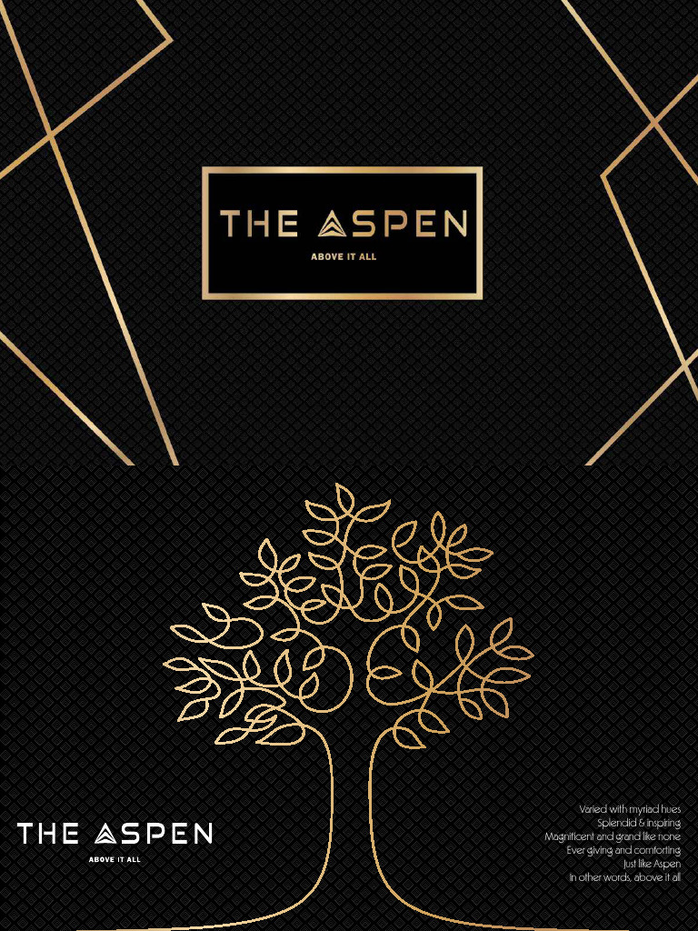 The Aspen Brochure | PDF