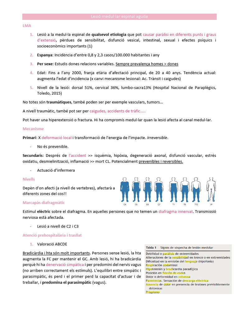 Lesió Medul Lar Espinal Aguda | PDF