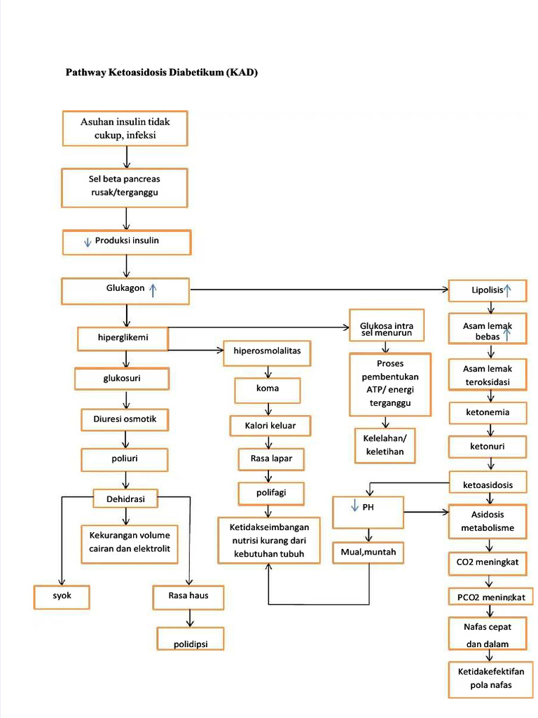 pdf-pathway-ketoasidosis-diabetiku1_compress | PDF