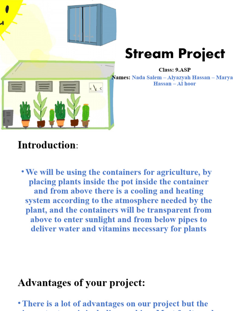 Strem Project Report | PDF