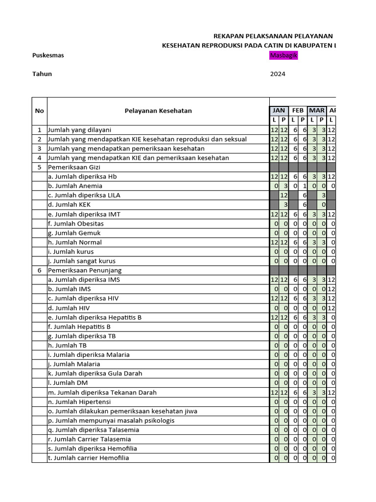 Masbagik - Format Catin 2024 | PDF