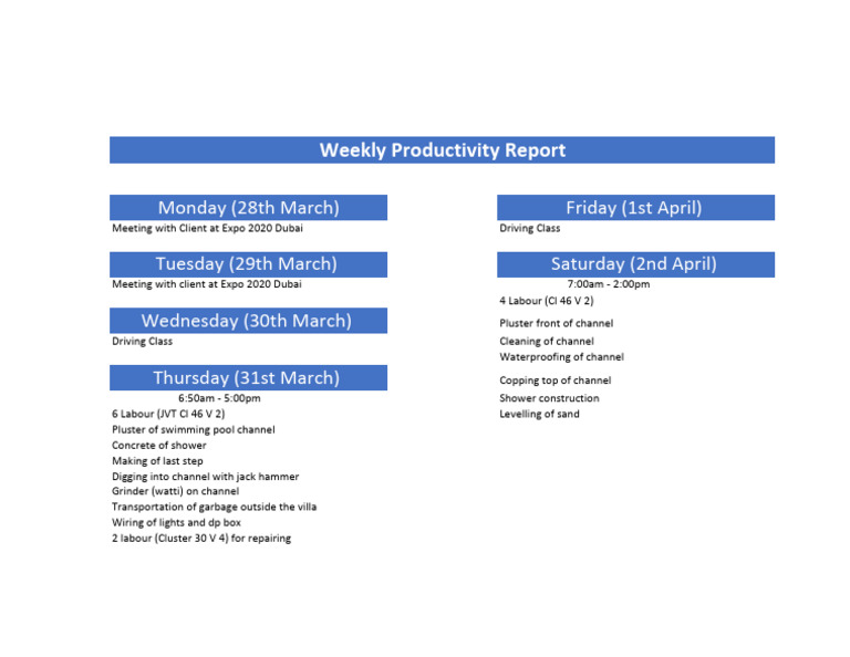 Weekly Productivity Report-1 | PDF
