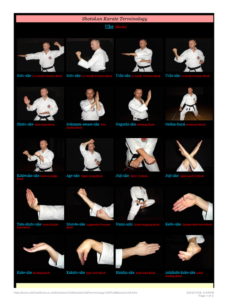 Shotokan Karate Terminology | PDF