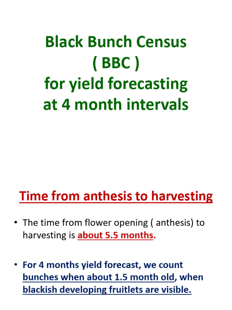 Black Bunch Census at 4 Month Intervals | PDF | Cooking, Food & Wine