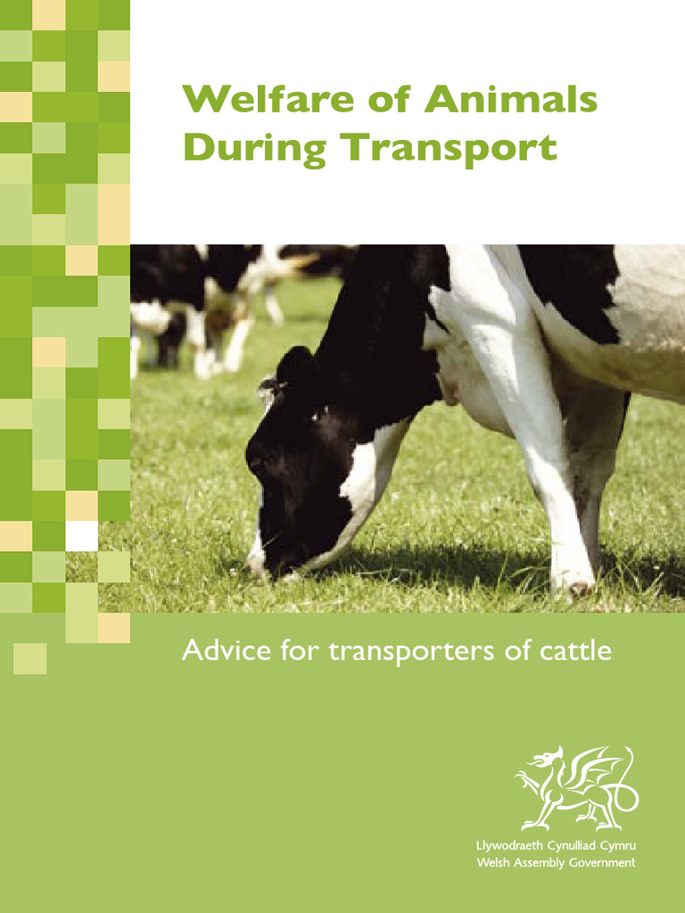 Welfare of Animals During Transport Advice For Transporters of Cattle ...