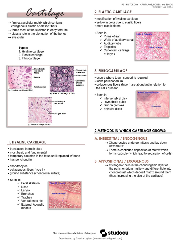 Histology Cartilage Bone Blood | PDF | Bone | White Blood Cell